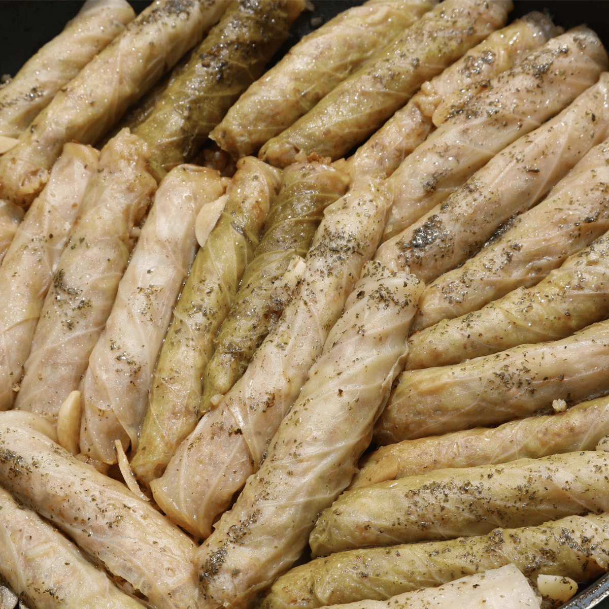 Malfouf Mahshi (Lebanese Stuffed Cabbage Rolls) by Zaatar and Zaytoun