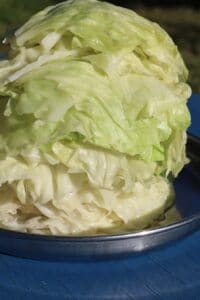 Malfouf Mahshi (Lebanese Stuffed Cabbage Rolls) by Zaatar and Zaytoun