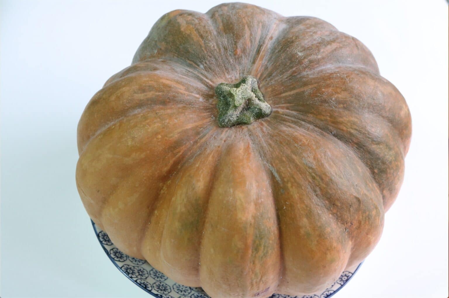 Pumpkin Kibbeh by Zaatar and Zaytoun - Lebanese Recipes