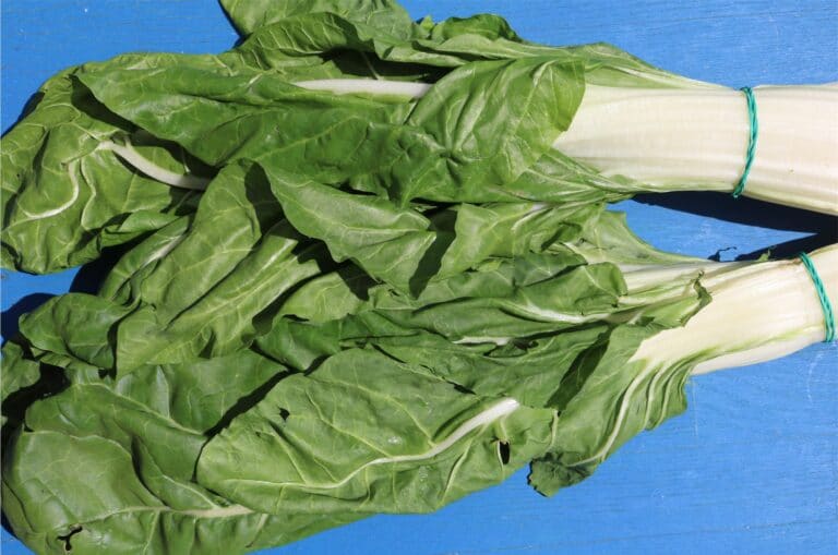 Stuffed swiss chard by Zaatar and Zaytoun - Lebanese Recipes