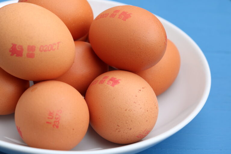 Zucchini with Egg by Zaatar and Zaytoun - Lebanese Recipes