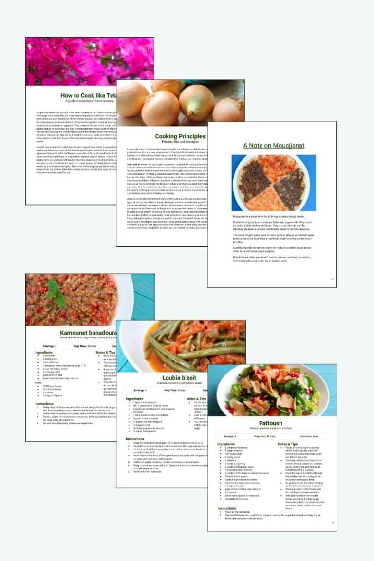 Lebanese cookbook - The best Lebanese recipe e-book